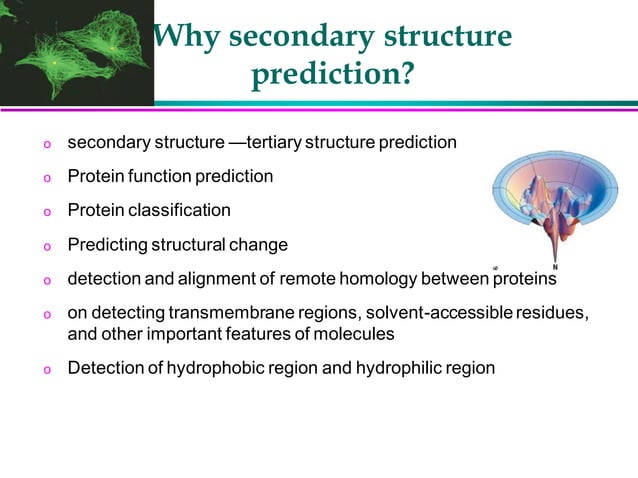 Secondary Structure Prediction of proteins | PPT