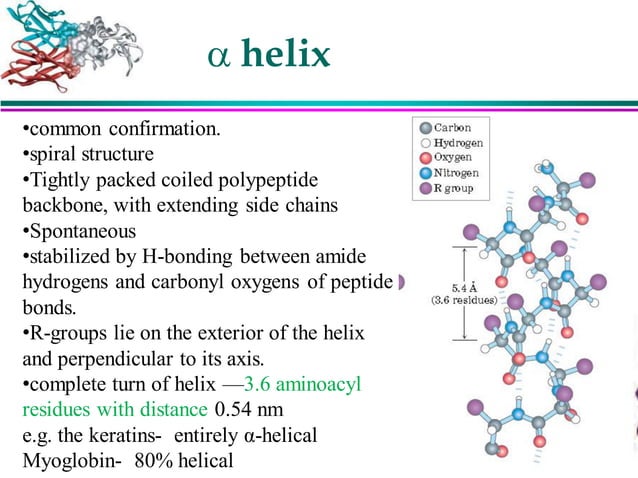 Secondary Structure Prediction of proteins | PDF