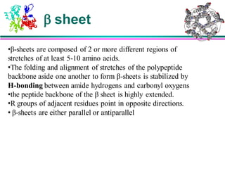 Secondary Structure Prediction of proteins | PDF