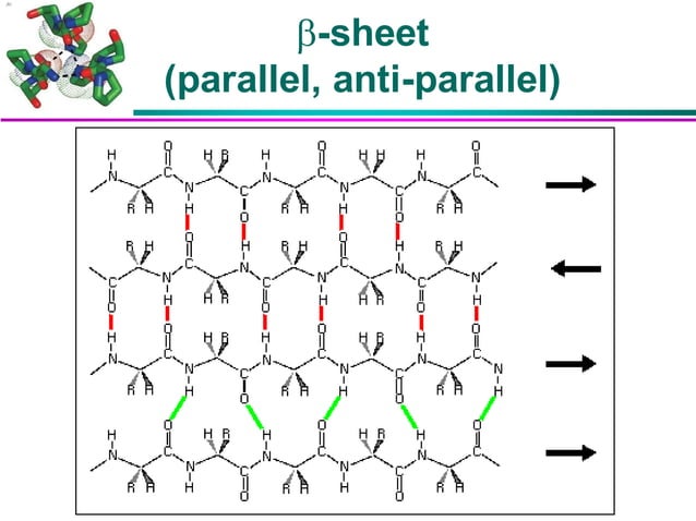 Secondary Structure Prediction of proteins | PDF