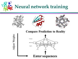 Protein Secondary Structure Prediction