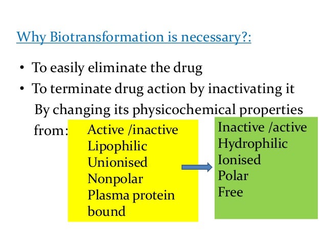 biotransformation Vijaykrishna