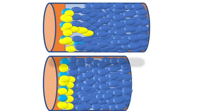 Practical Approach For Predicting Retention Time Shift Due To Pressure ...