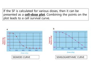 cell survival curve | PPTX