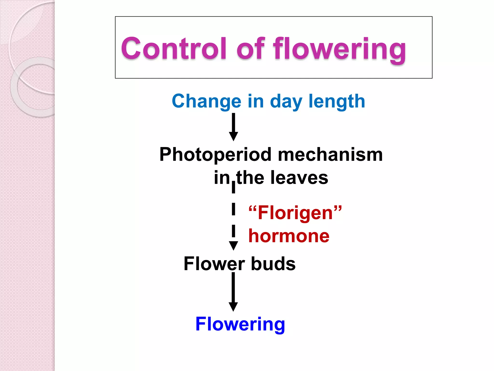 Physiology of flowering, photoperiodism | PPTX