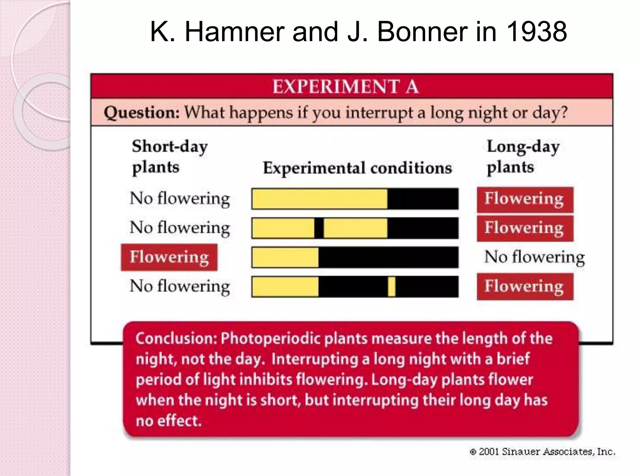 Physiology of flowering, photoperiodism | PPTX
