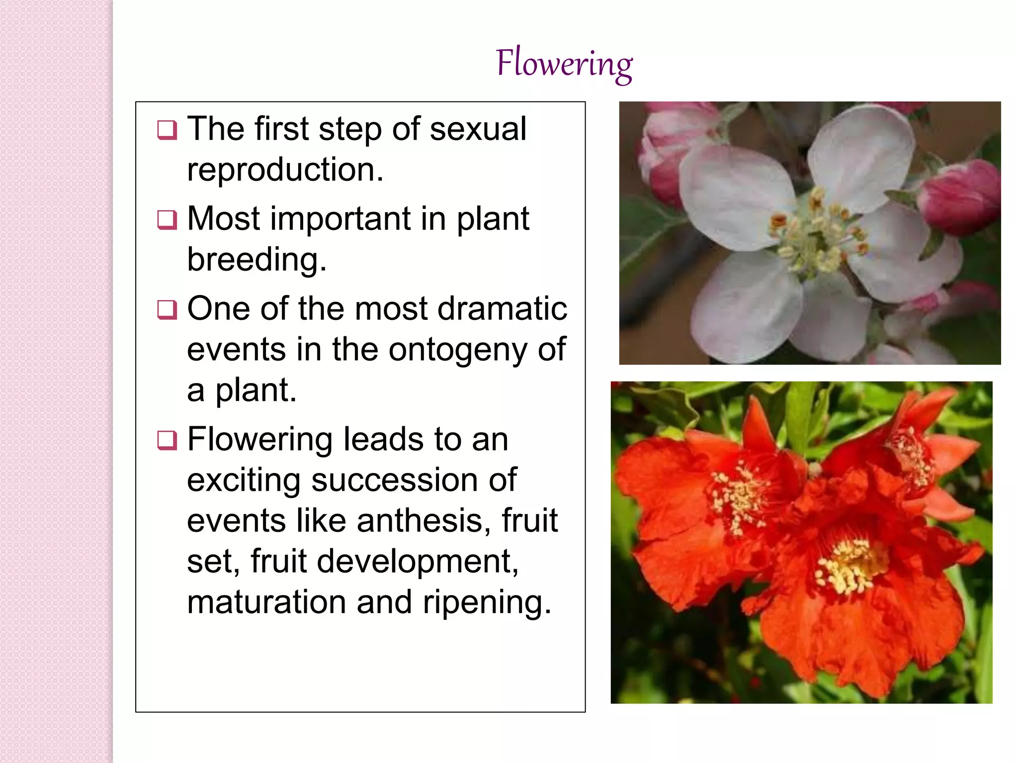 Physiology of flowering, photoperiodism | PPTX
