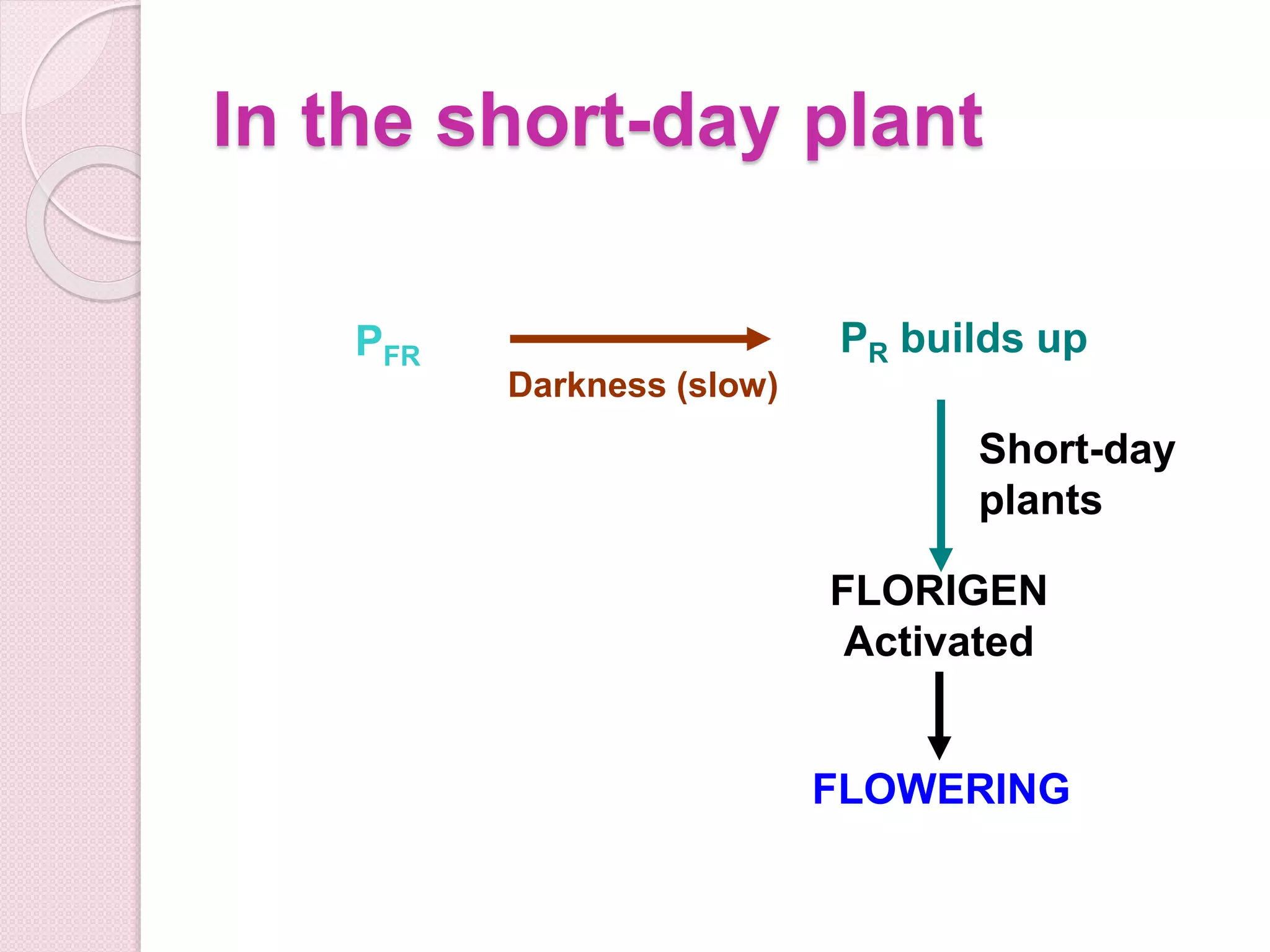Physiology of flowering, photoperiodism | PPTX