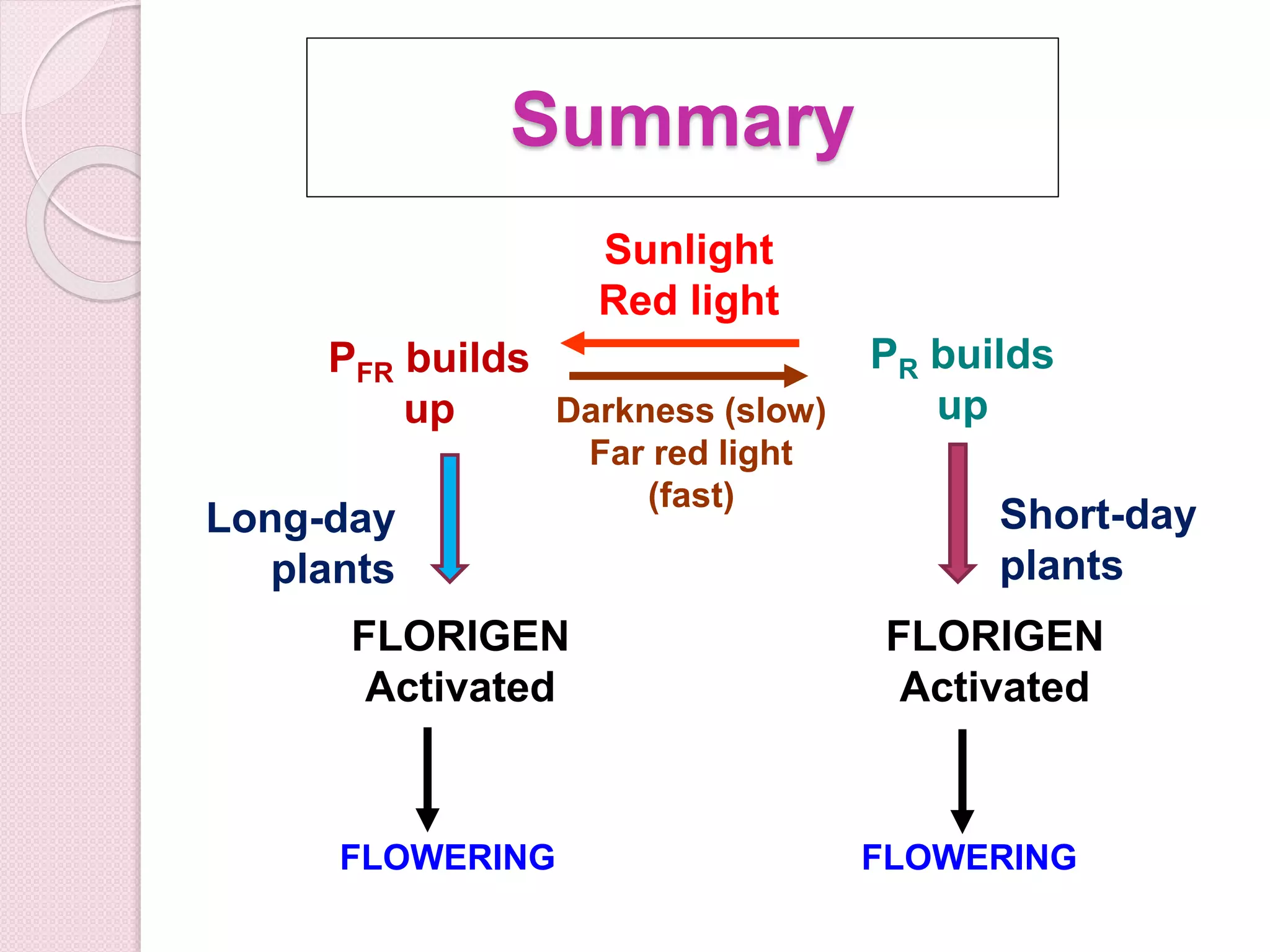 Physiology of flowering, photoperiodism | PPTX
