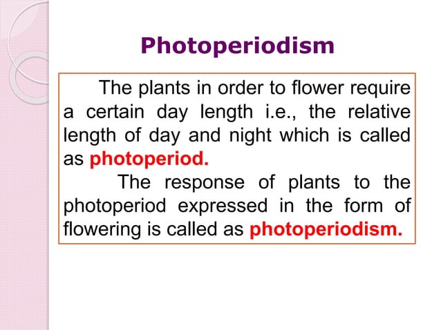 Physiology of flowering, photoperiodism | PPTX