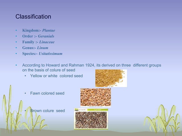 linseed crop | PPTX | Agriculture | Industries