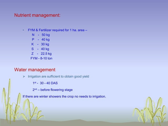 linseed crop | PPTX | Agriculture | Industries