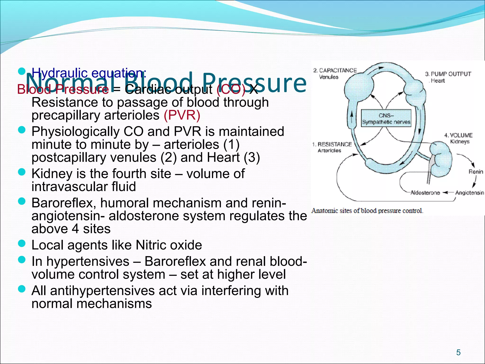 ANTI HYPERTENSIVE DRUGS | PPT