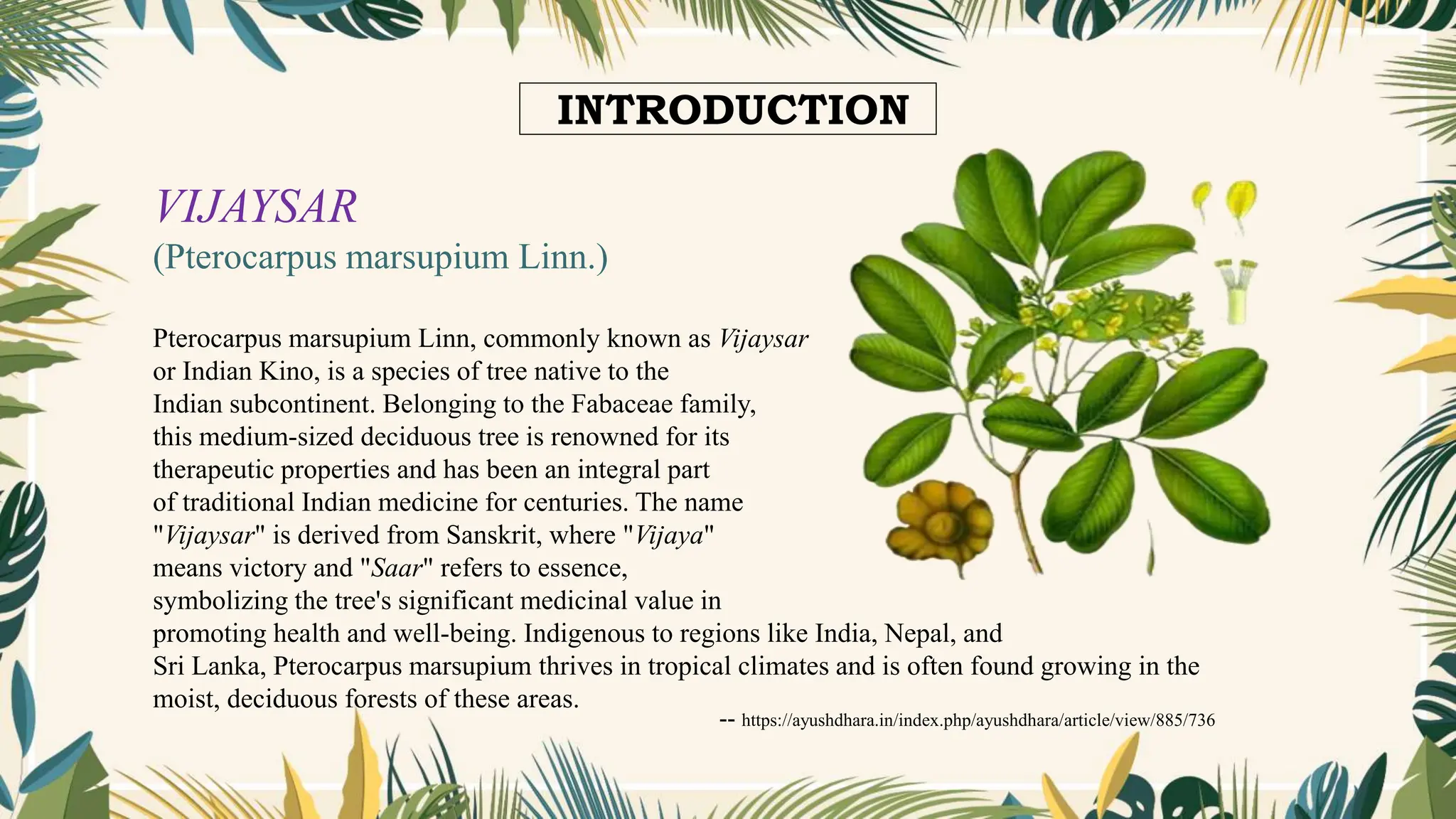 Vijaysar PPT.pptx an summary on plant details of Pterocarpus marsupium ...