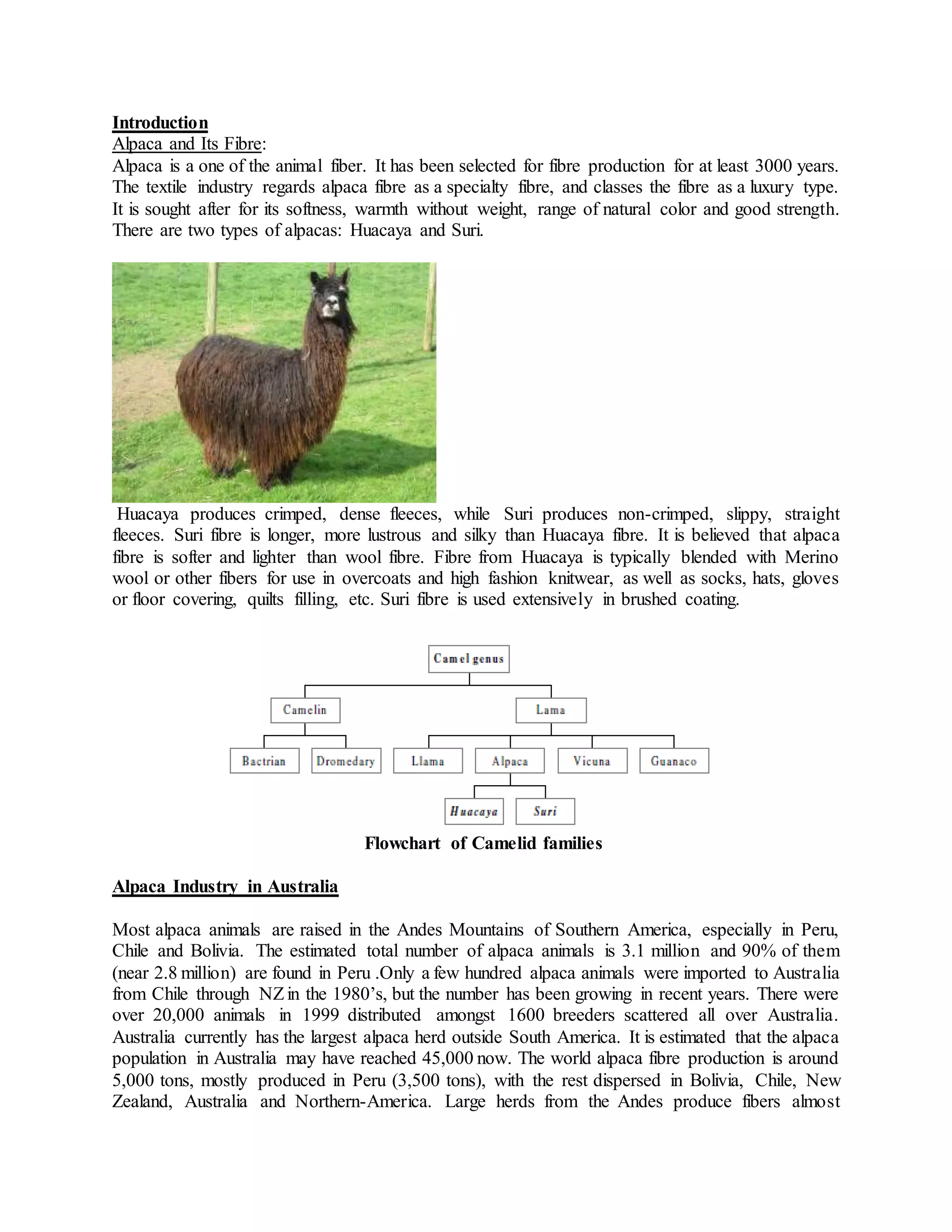 An over view on ALPACA the animal fiber | DOCX