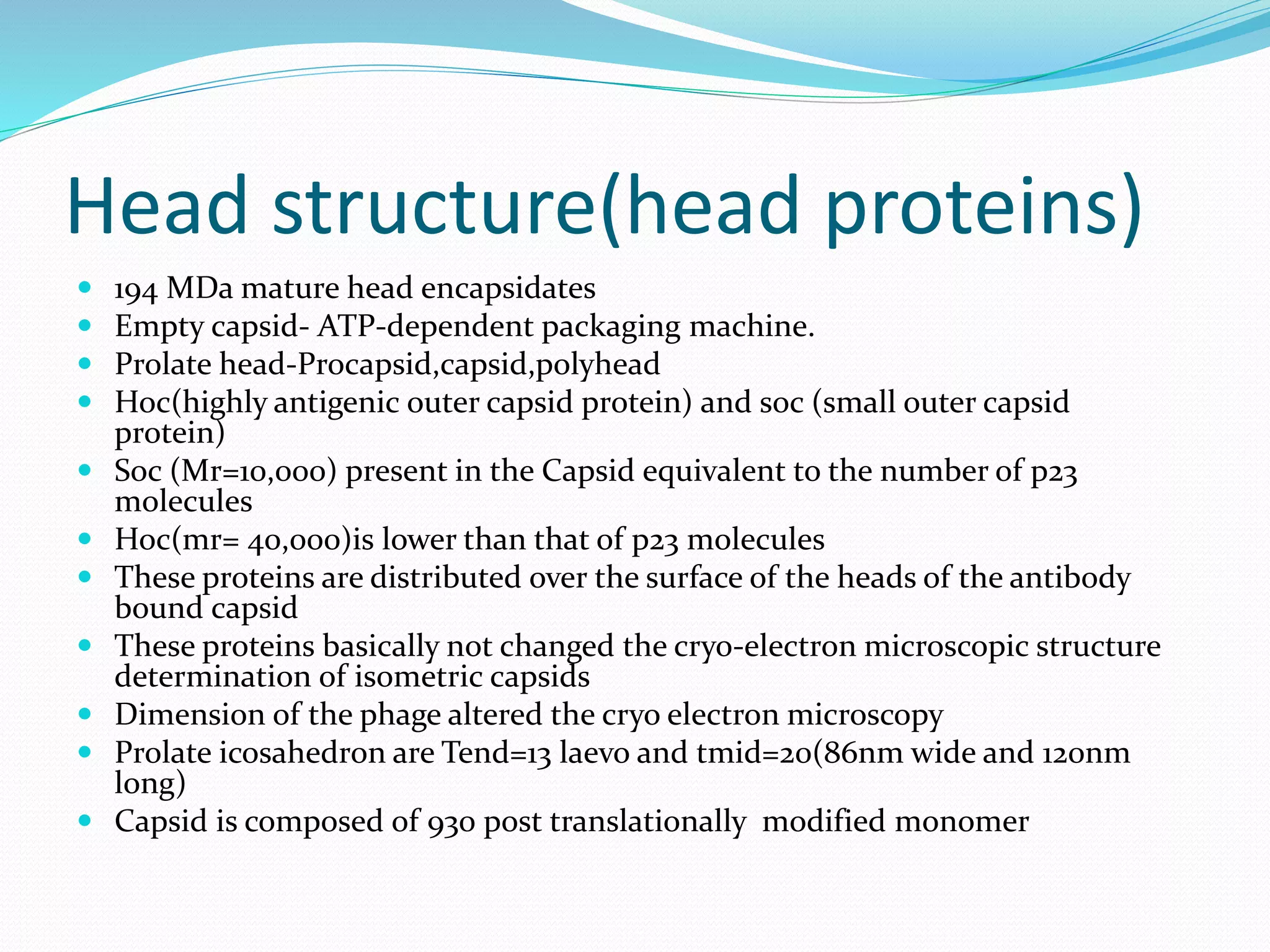 structure of t4 bacteriophage | PPTX
