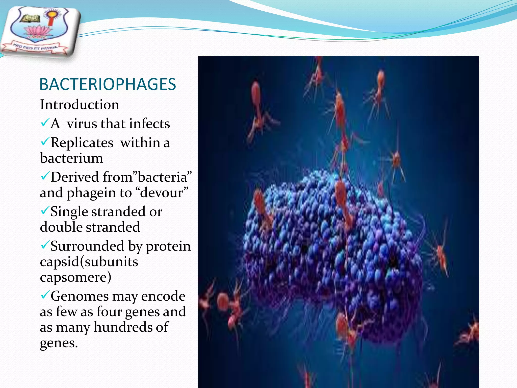 structure of t4 bacteriophage | PPTX