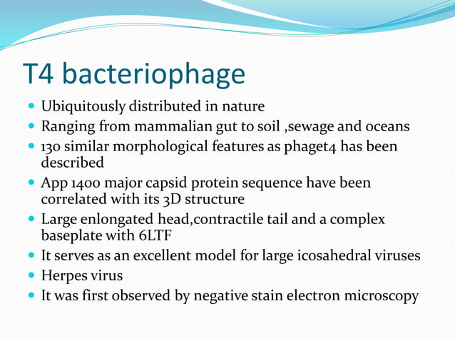 structure of t4 bacteriophage | PPTX | Genetics | Science