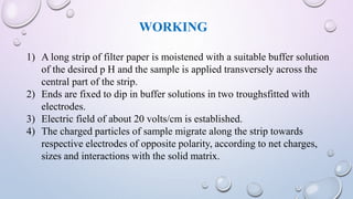 paper ELECTROPHORIS.pptx