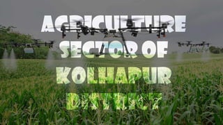 agriculture sector of kolhapur | PPTX