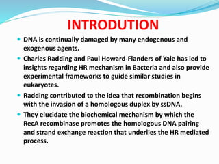Homologous Recombination Pathway Investigation | PPTX | Genetics | Science