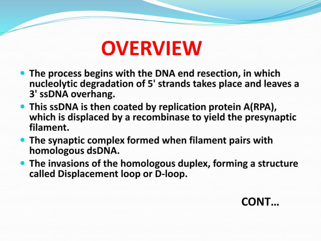Homologous Recombination Pathway Investigation | PPT