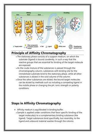 Chromatography.pdf
