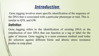 Gene Tagging PRSU jhsiio jdhijdo hdisjod | PPT