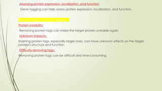 Gene Tagging guhk guoiop ghhkl gjuhkj ghkj | PPT