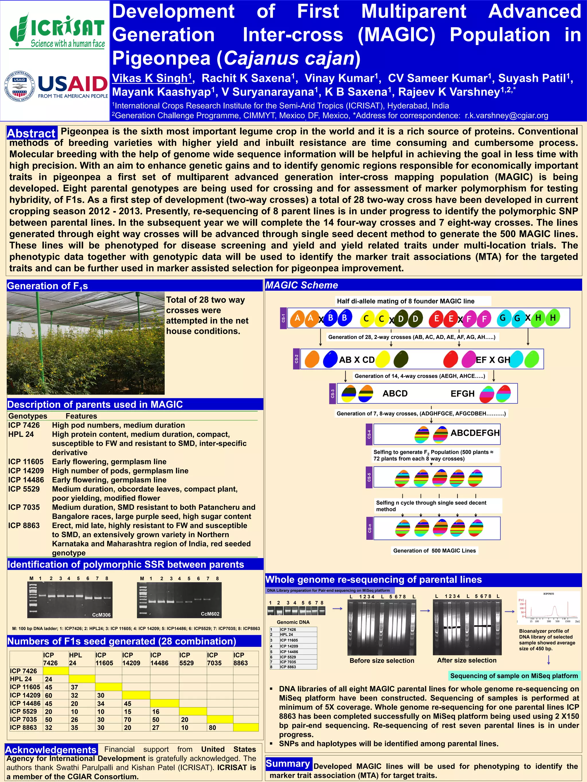 Development of First Multiparent Advanced Generation Inter-cross (MAGIC ...