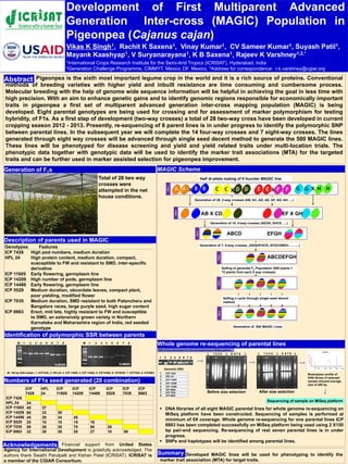 Development of First Multiparent Advanced Generation Inter-cross (MAGIC ...