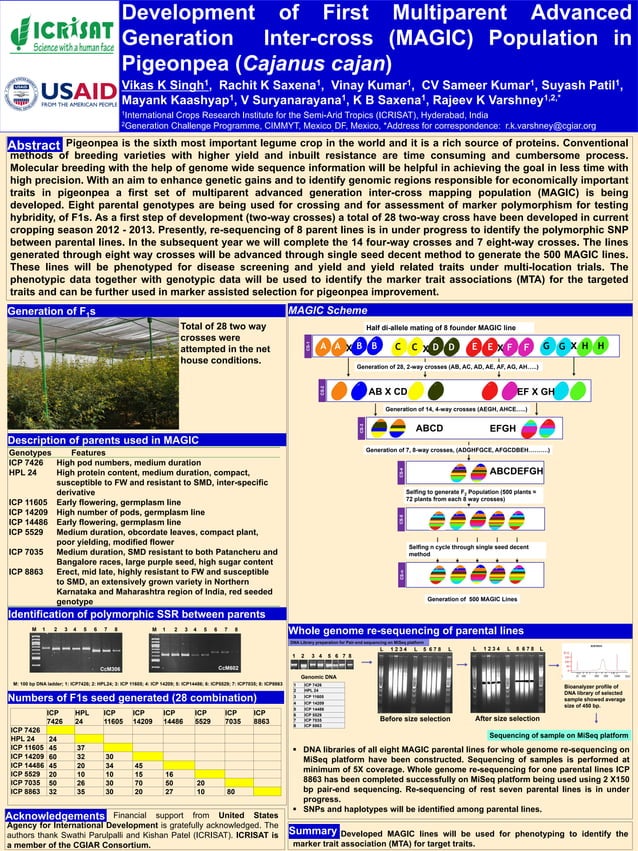 Development of First Multiparent Advanced Generation Inter-cross (MAGIC ...