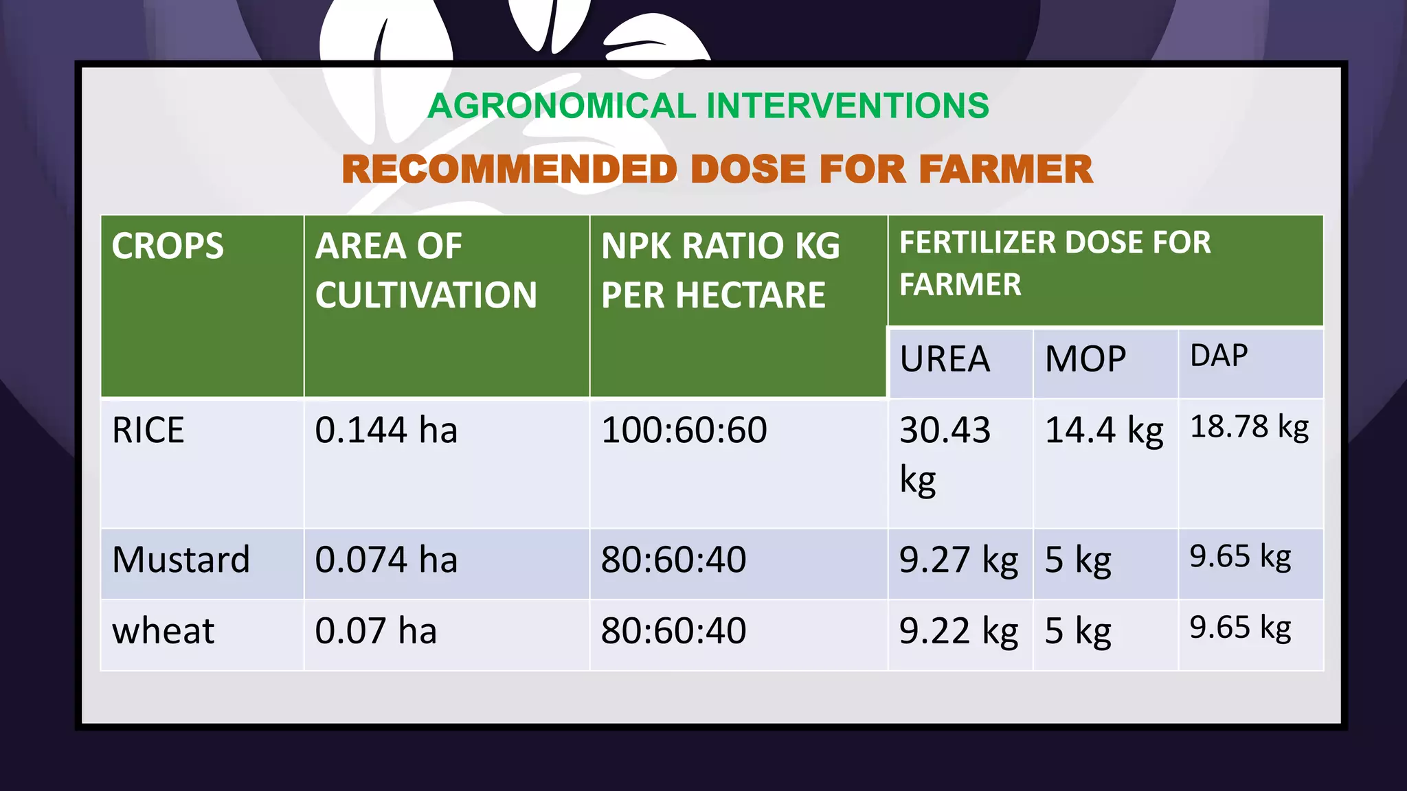 Presentation of rawe.pptx