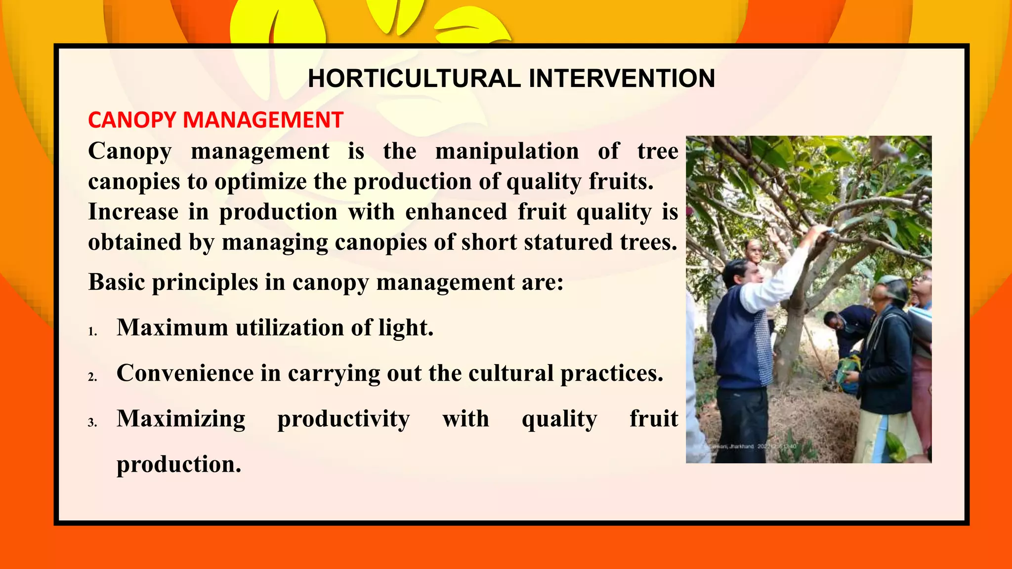 Presentation of rawe.pptx