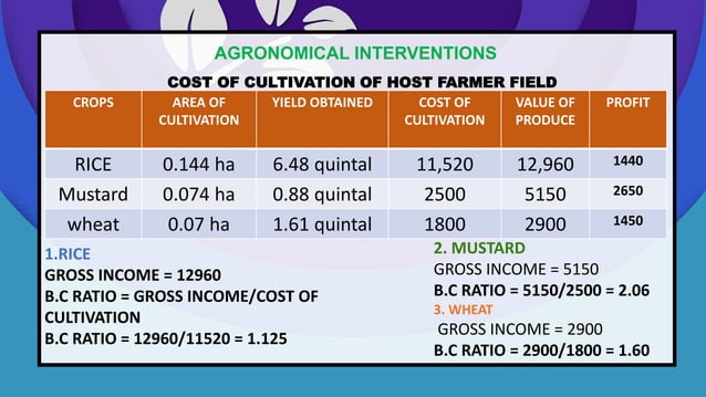 Presentation of rawe.pptx