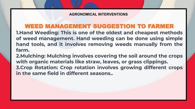 Presentation of rawe.pptx
