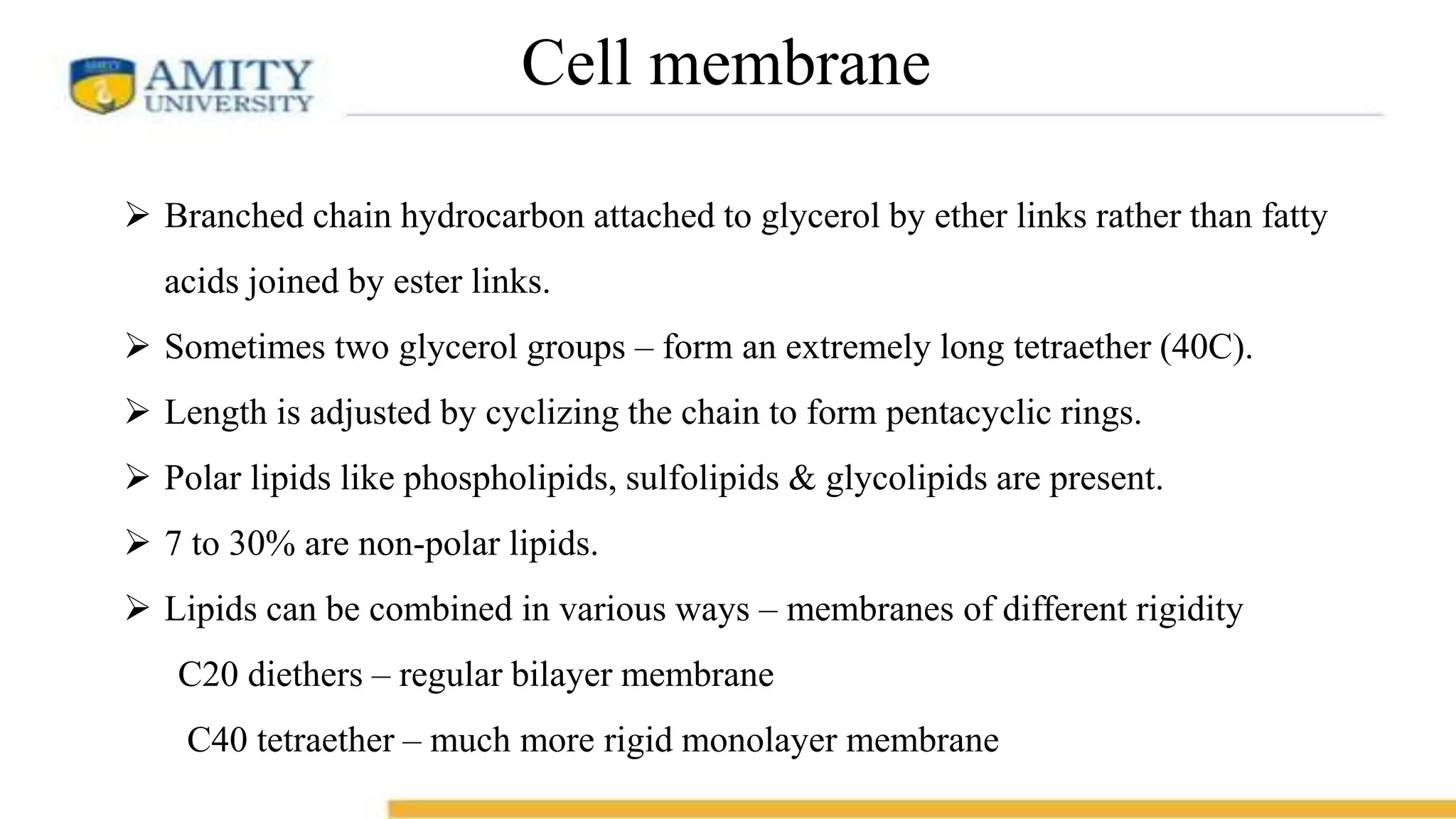 Archea cell wall and membrane | PPTX