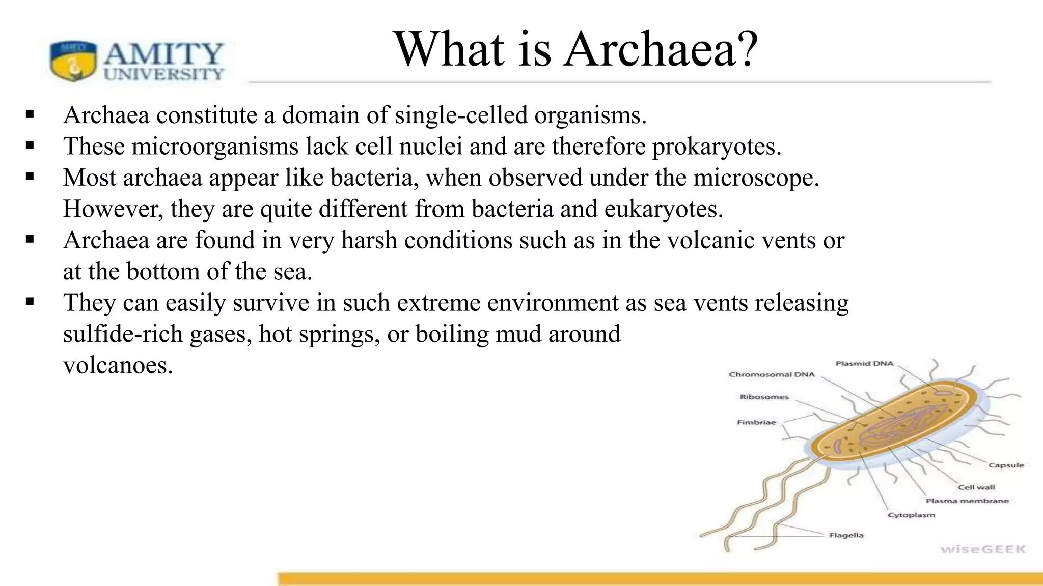 Archea cell wall and membrane | PPTX