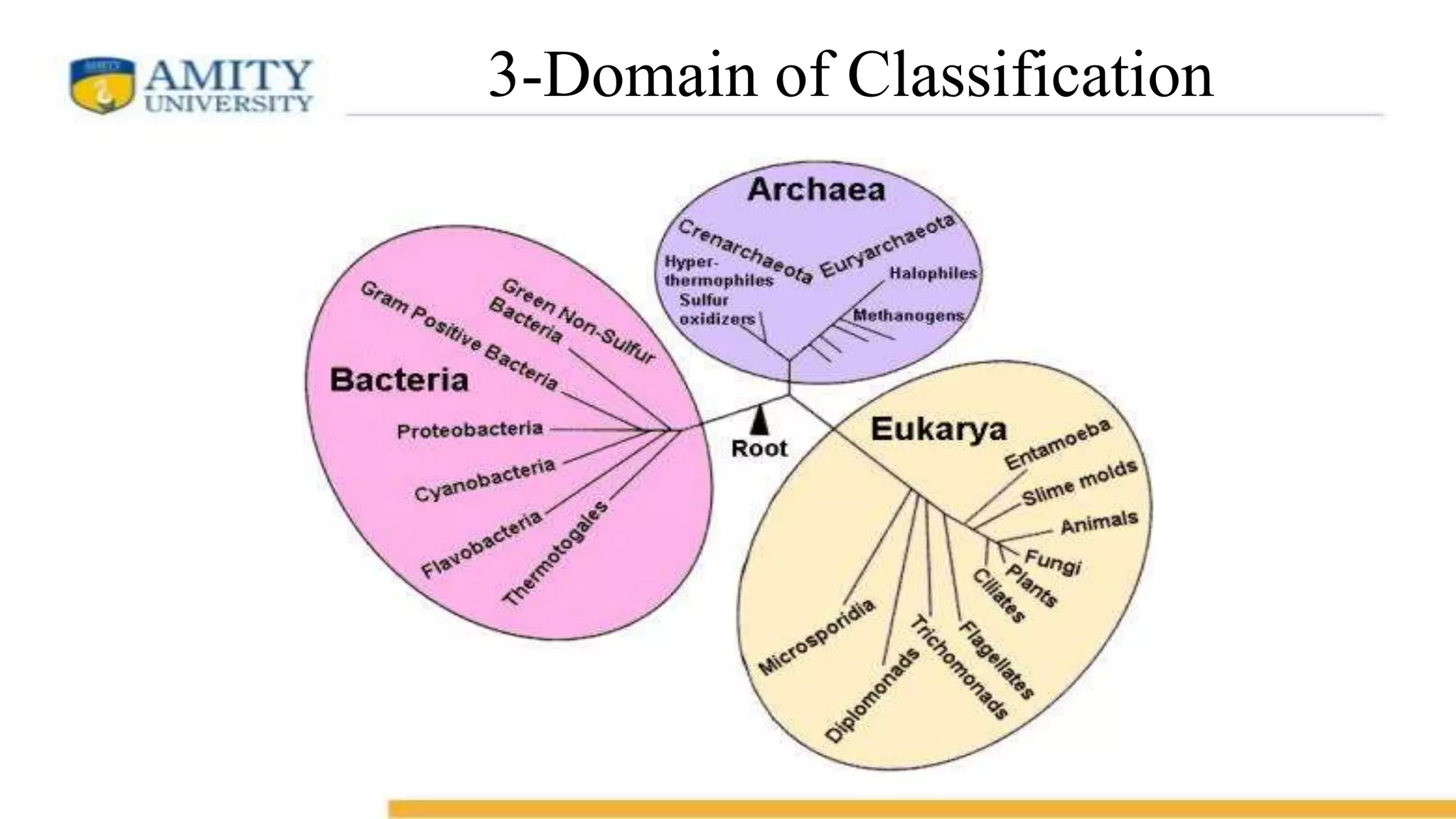 Archea cell wall and membrane | PPTX