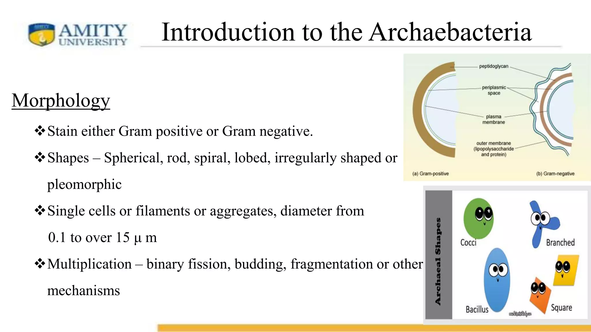 Archea cell wall and membrane | PPTX
