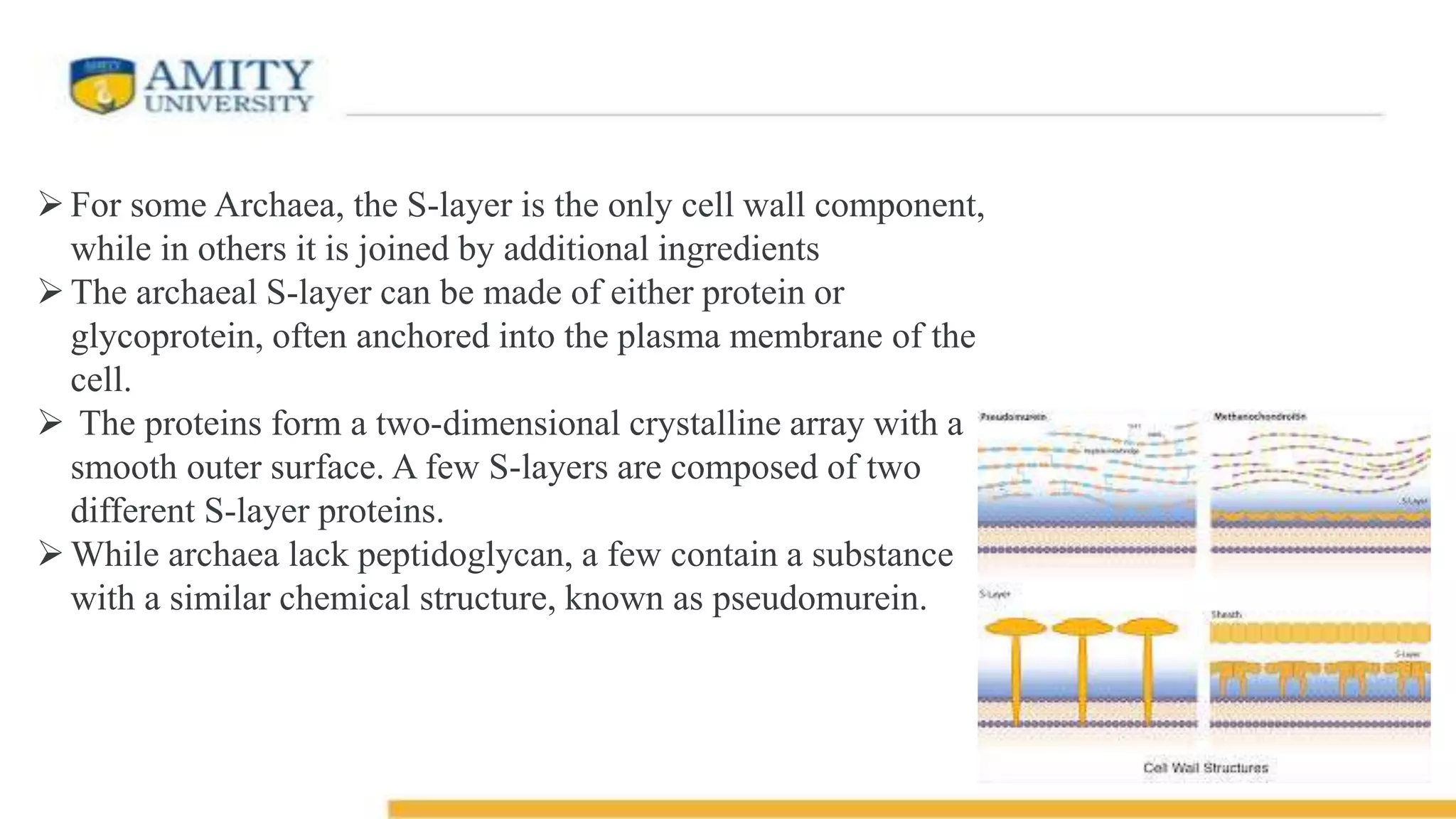 Archea cell wall and membrane | PPTX