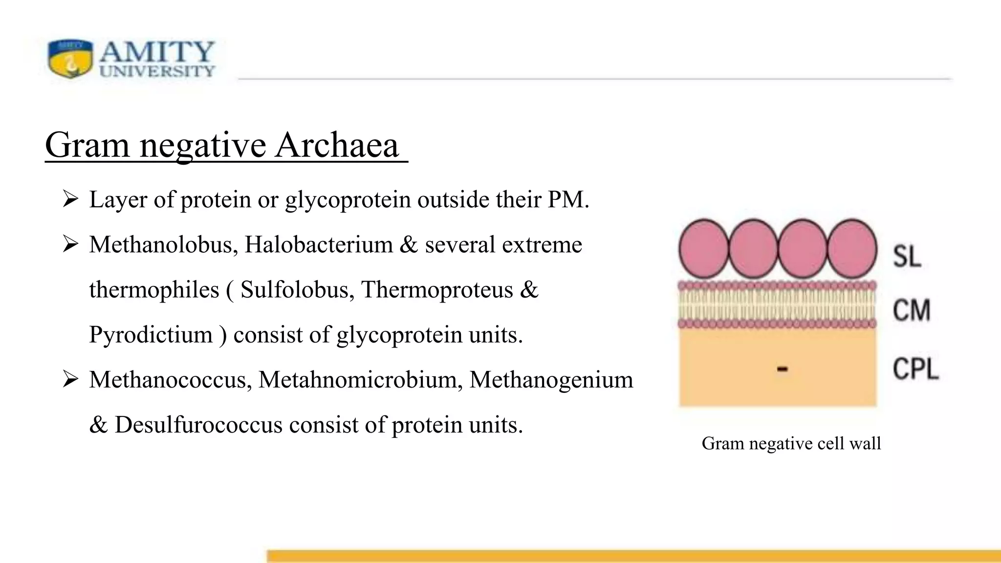 Archea cell wall and membrane | PPTX