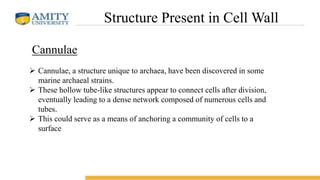 Archea cell wall and membrane | PPTX