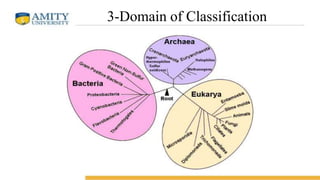 Archea cell wall and membrane | PPTX