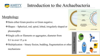 Archea cell wall and membrane | PPTX