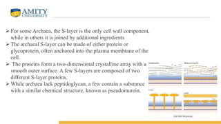 Archea cell wall and membrane | PPTX
