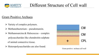 Archea cell wall and membrane | PPTX