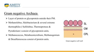Archea cell wall and membrane | PPTX