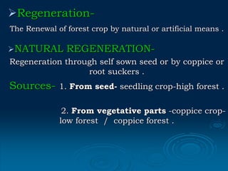 Natural Regeneration of few tree species | PDF