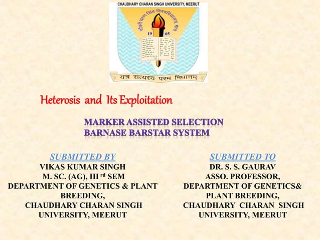 Barnase barstar system | PPTX | Infertility | Reproductive Health